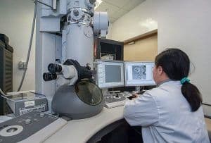 Difference Between Light Microscope and Electron Microscope (with ...