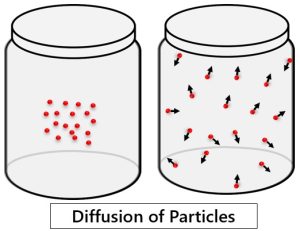Difference Between Osmosis and Diffusion (with Comparison Chart) - Bio ...