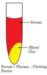Difference Between Plasma and Serum (with Comparison Chart) - Bio ...