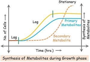 Difference Between Primary Metabolites and Secondary Metabolites (with ...