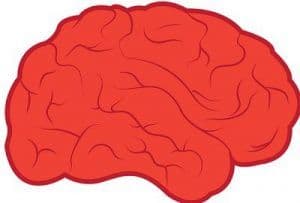 Difference Between Nervous System and Endocrine System (with Comparison ...