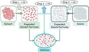 Difference Between Solute and Solvent (with Comparison Chart) - Bio ...