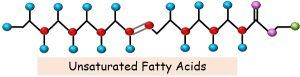 Difference Between Saturated and Unsaturated Fatty Acids (with ...