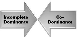Difference Between Incomplete Dominance and Co-Dominance (with ...