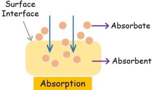 Difference Between Absorption and Adsorption (with Comparison Chart ...