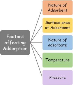 Difference Between Absorption and Adsorption (with Comparison Chart) - Bio Differences