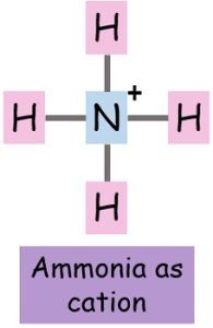 Difference Between Cation and Anion (with Comparison Chart) - Bio ...