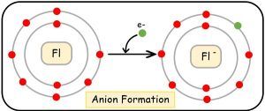Difference Between Cation and Anion (with Comparison Chart) - Bio ...