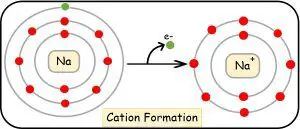 Difference Between Cation and Anion (with Comparison Chart) - Bio ...