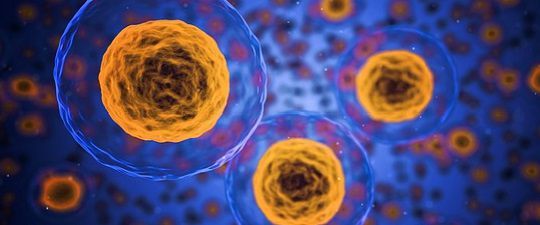 Difference Between T Cells and B Cells (with Comparison Chart and ...