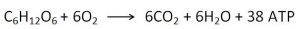 Difference Between Cellular Respiration and Photosynthesis (with ...