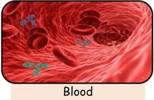Difference Between Mixtures and Compounds (with Comparison Chart) - Bio ...