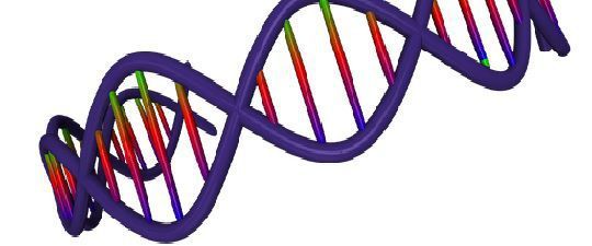 Difference Between Point and Frameshift Mutations (with Comparison ...
