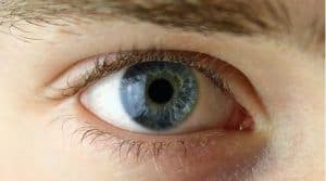 Difference Between Rods and Cones (with Comparison Chart and ...