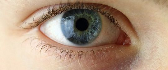 Difference Between Rods and Cones (with Comparison Chart and ...