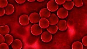 Difference Between Humoral and Cell-Mediated Immunity (with Comparison ...