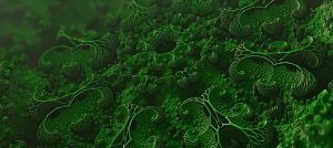 Difference Between Protozoans and Metazoans (with Comparison Chart and ...