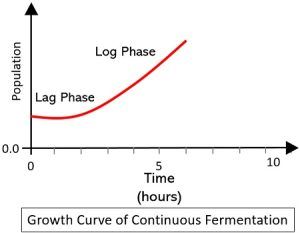 Difference Between Batch and Continuous Fermentation (with Comparison Chart) - Bio Differences