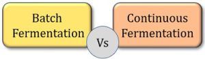 Difference Between Batch and Continuous Fermentation (with Comparison Chart) - Bio Differences