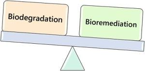 Difference Between Biodegradation and Bioremediation (with Comparison ...