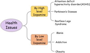Difference Between Dopamine and Endorphins (with Comparison Chart) - Bio Differences
